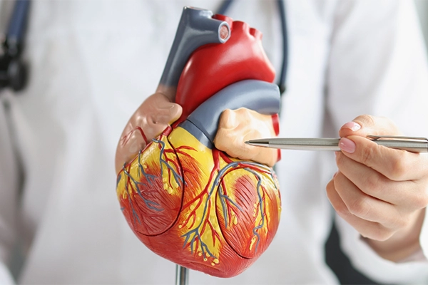 Heart Pacemaker Surgery | Gleneagles Hospitals